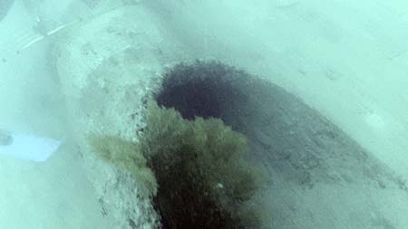 The BentProp Project