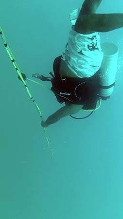 The BentProp Project