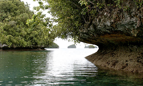 The BentProp Project