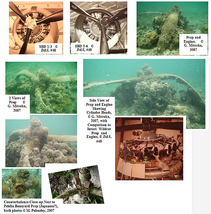 The BentProp Project